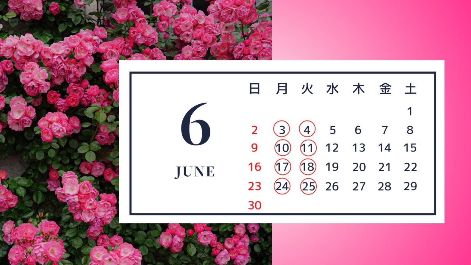 6月のスケジュール | 長野県諏訪市美容室ASHELAアシェラ